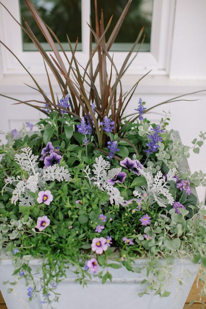 Planting Your Garden Planters: 3 Ways - Monika Hibbs