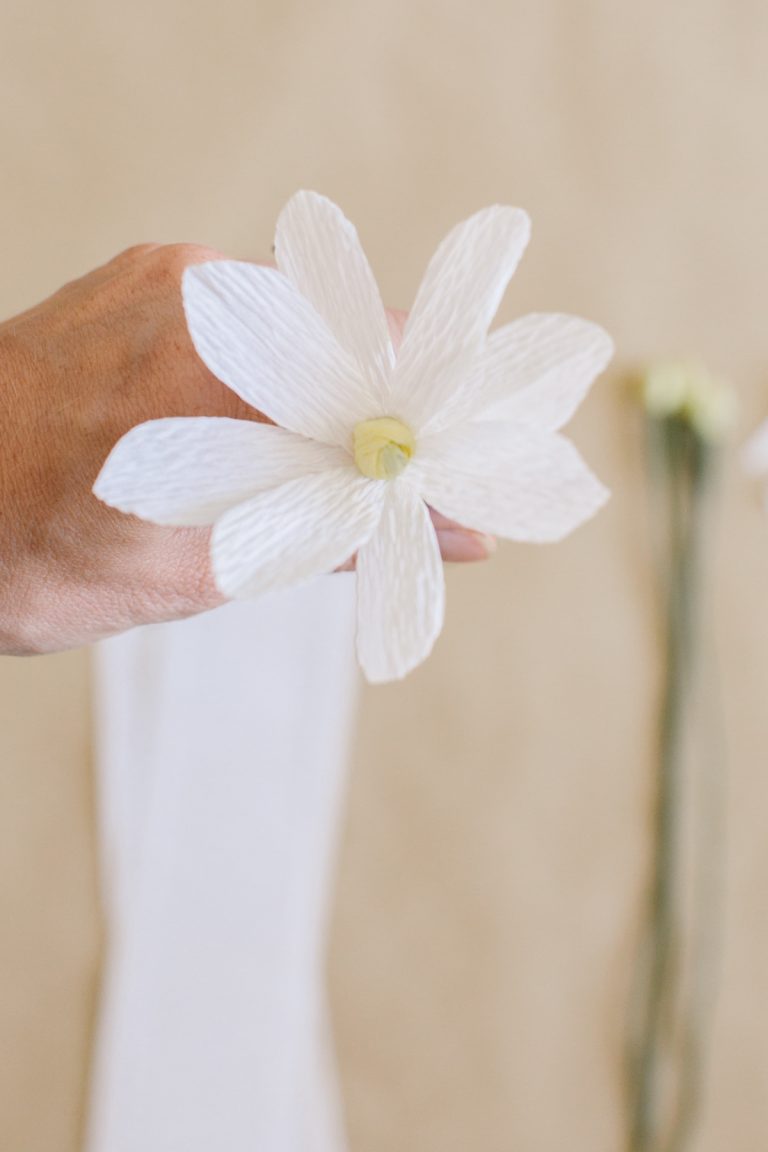 DIY Crepe Paper Daisies with Daisy Crown - Monika Hibbs
