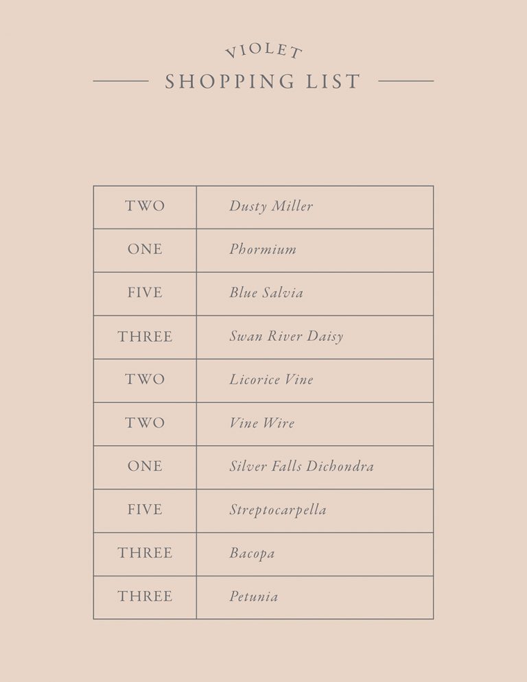 Violet Shopping List - Monika Hibbs