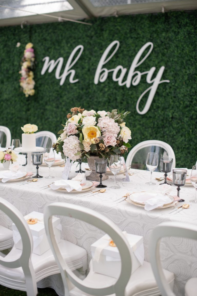 Blake's Surprise Baby Shower - Monika Hibbs